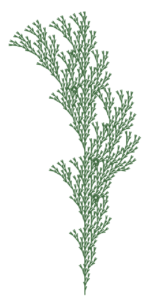 How to create L-Systems – Houdini Kitchen